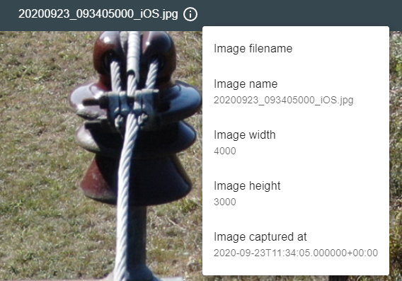 Image Viewer - User Guide Grid Vision Insight