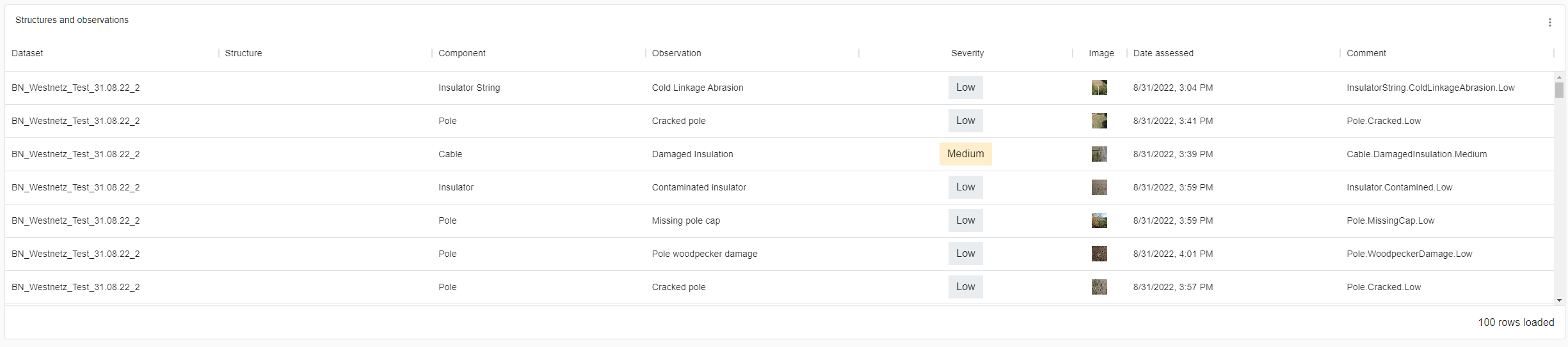 Structures and Observations Panel - User Guide Grid Vision Insight